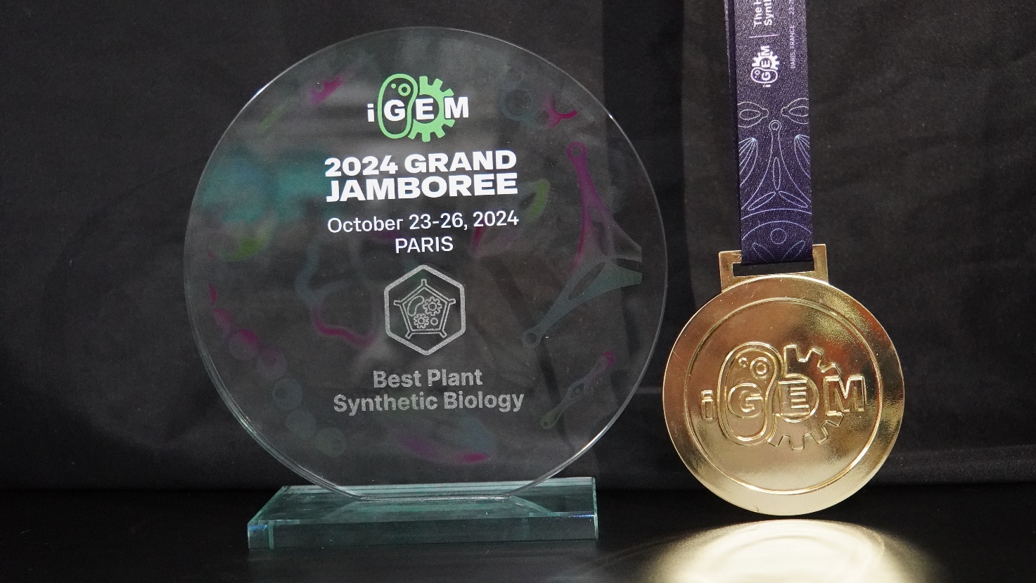 SCU-China Makes Further Achievement at 2024 iGEM Competition-Sichuan ...