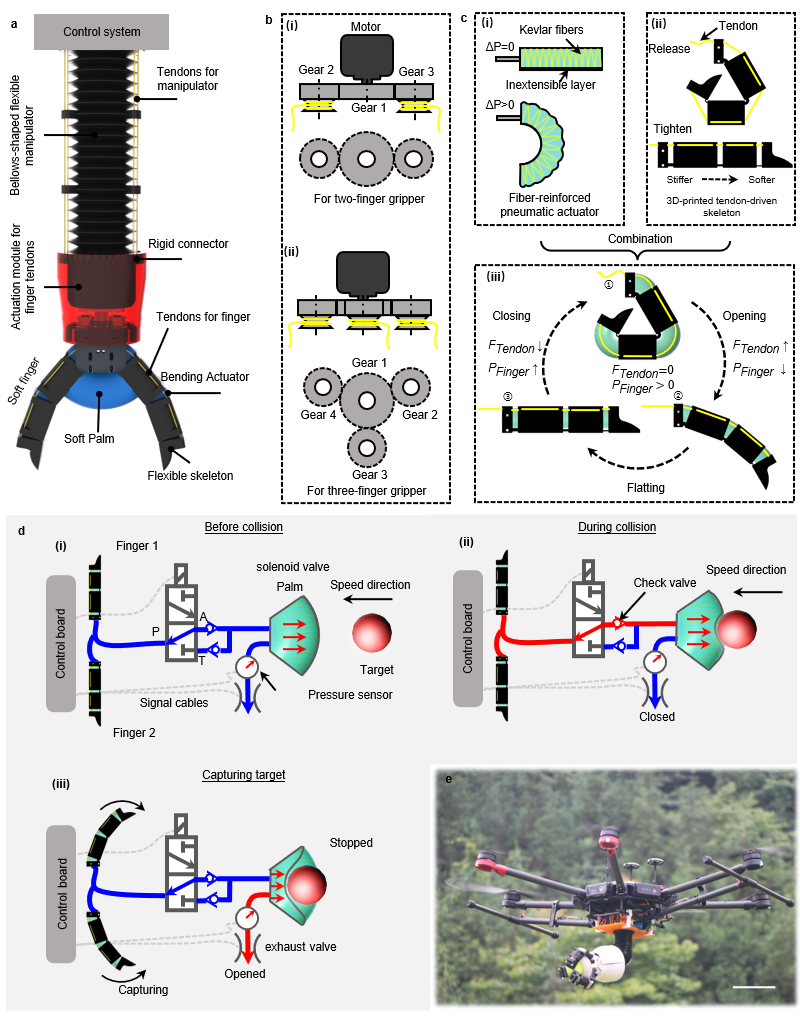 Wei Pu's Team Has Made Important Progress in the Research of Robotics ...