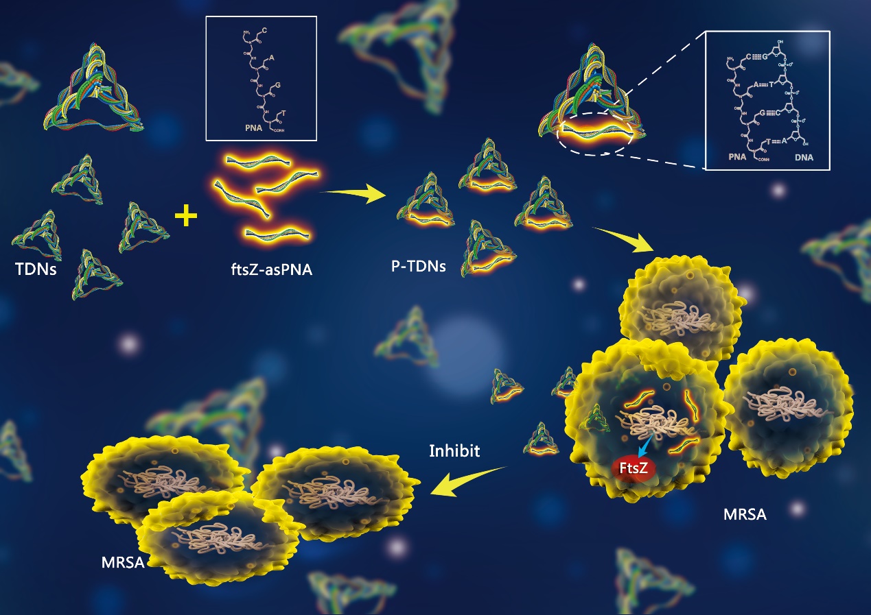 A Team of Professor Yunfeng Lin from SCU West China Stomatological ...