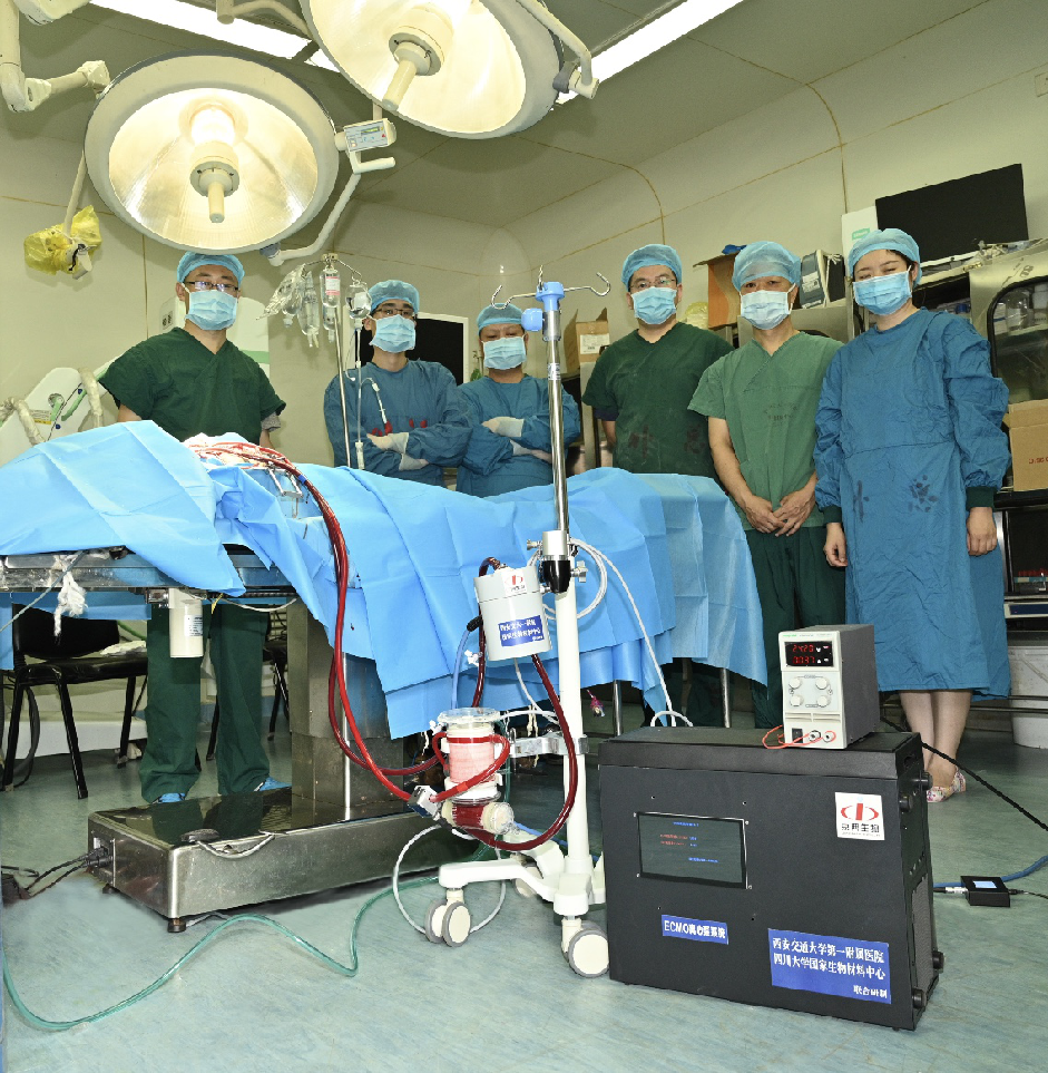 SCU Researchers Have Made Breakthrough in the Development of ECMO ...