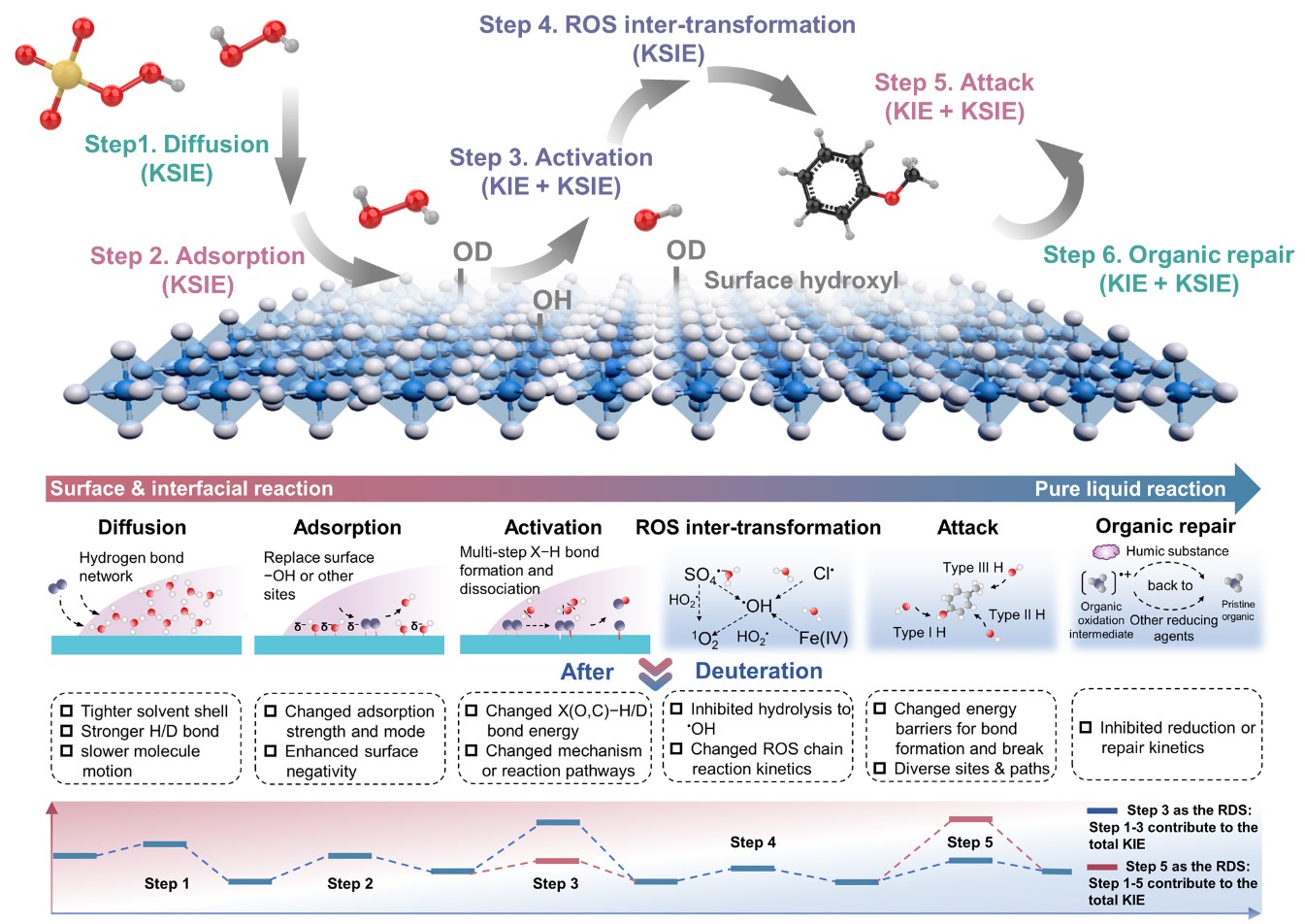 Prof. Lai Bo’s Team Achieves New Progress in Chemical Wastewater ...