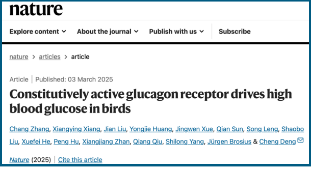 Nature | Deng Cheng’s Team Reveals the Role of Constitutively Active ...