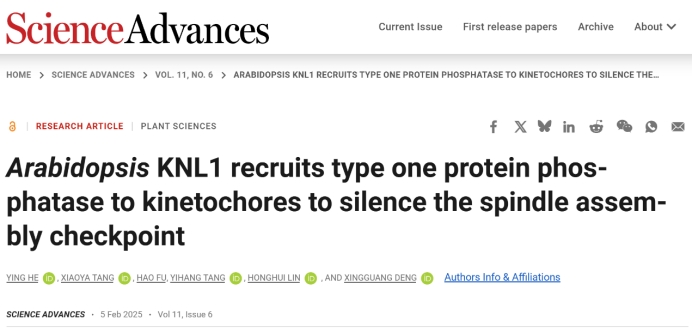 Science Advances| Lin Honghui/Deng Xingguang’s Team Reveals Mechanisms ...