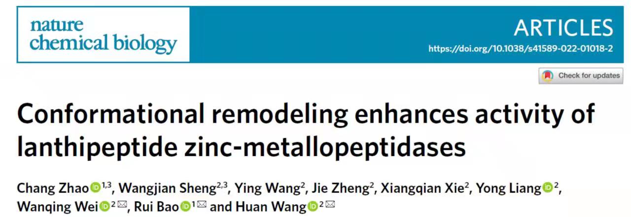 Rui Bao's Team Revealed the Catalytic Mechanism of Lanthipeptide Zinc ...