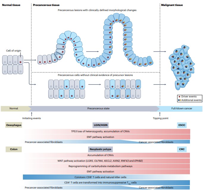 Wang Yuan’s Team Generalizes an Emerging Strategies to Investigate the ...