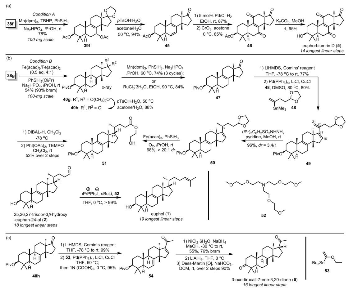 Prof. Liu Bo’s Team Achieves a Novel Total Synthesis of Euphane and ...