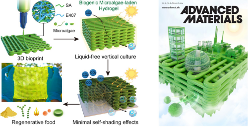 Zhou Jiajing and Lin Wei’s Team Made Progress in the Field of ...