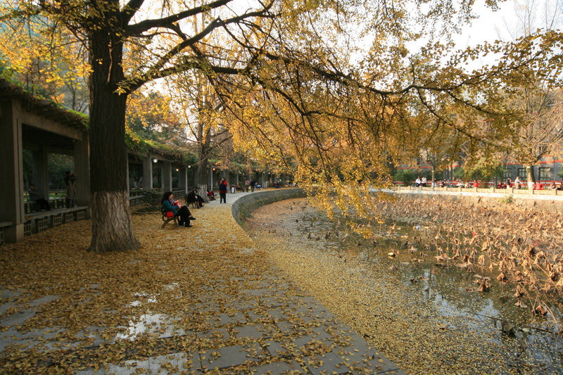 Campus view-Sichuan University