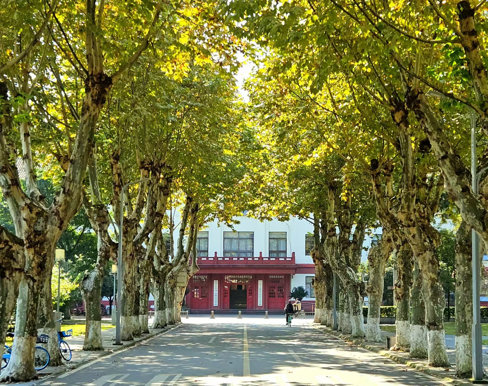 Campus view-Sichuan University